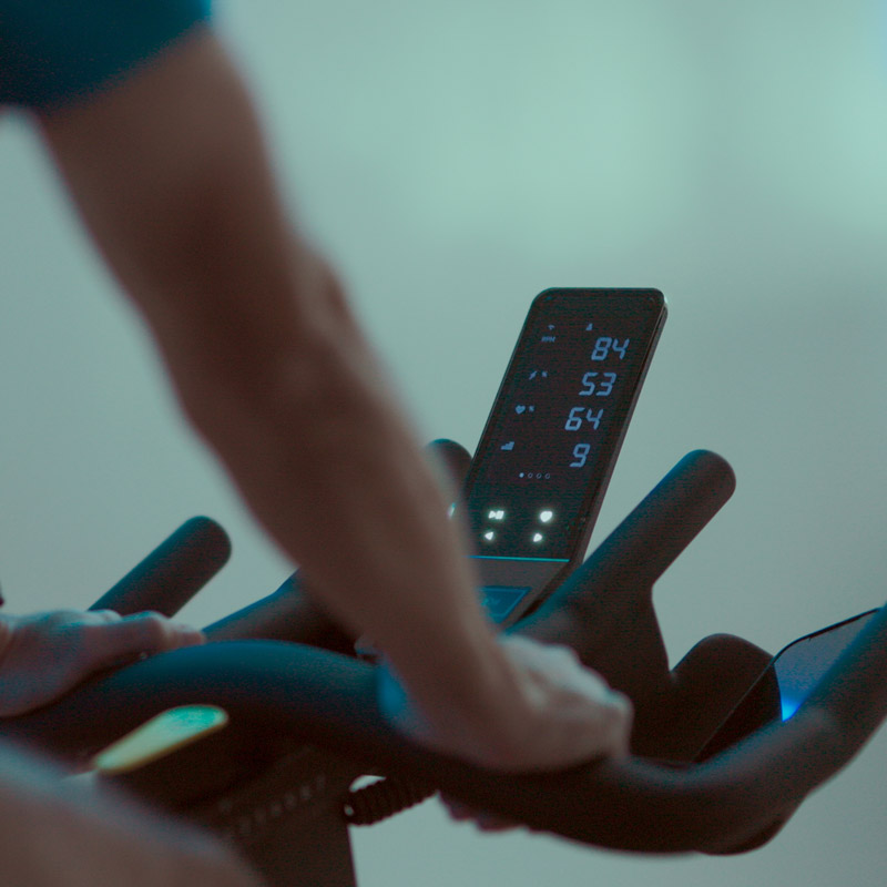 Group Cycle - Evolution